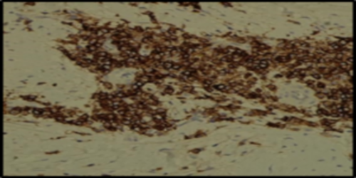 MEDVIX PUBLICATIONS LLC