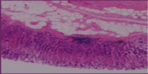 MEDVIX PUBLICATIONS LLC